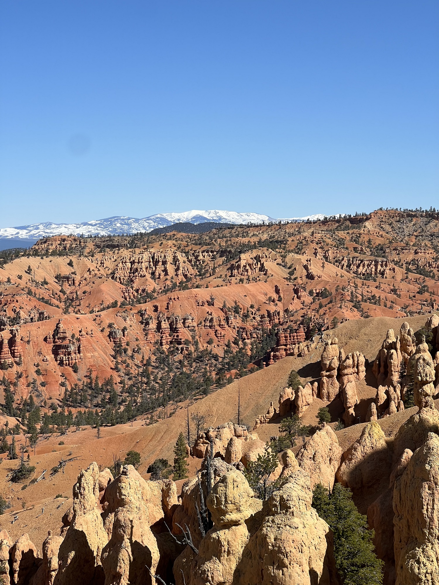 Southern Utah Road Trip Itinerary | The 2 Week Road Trip Guide
