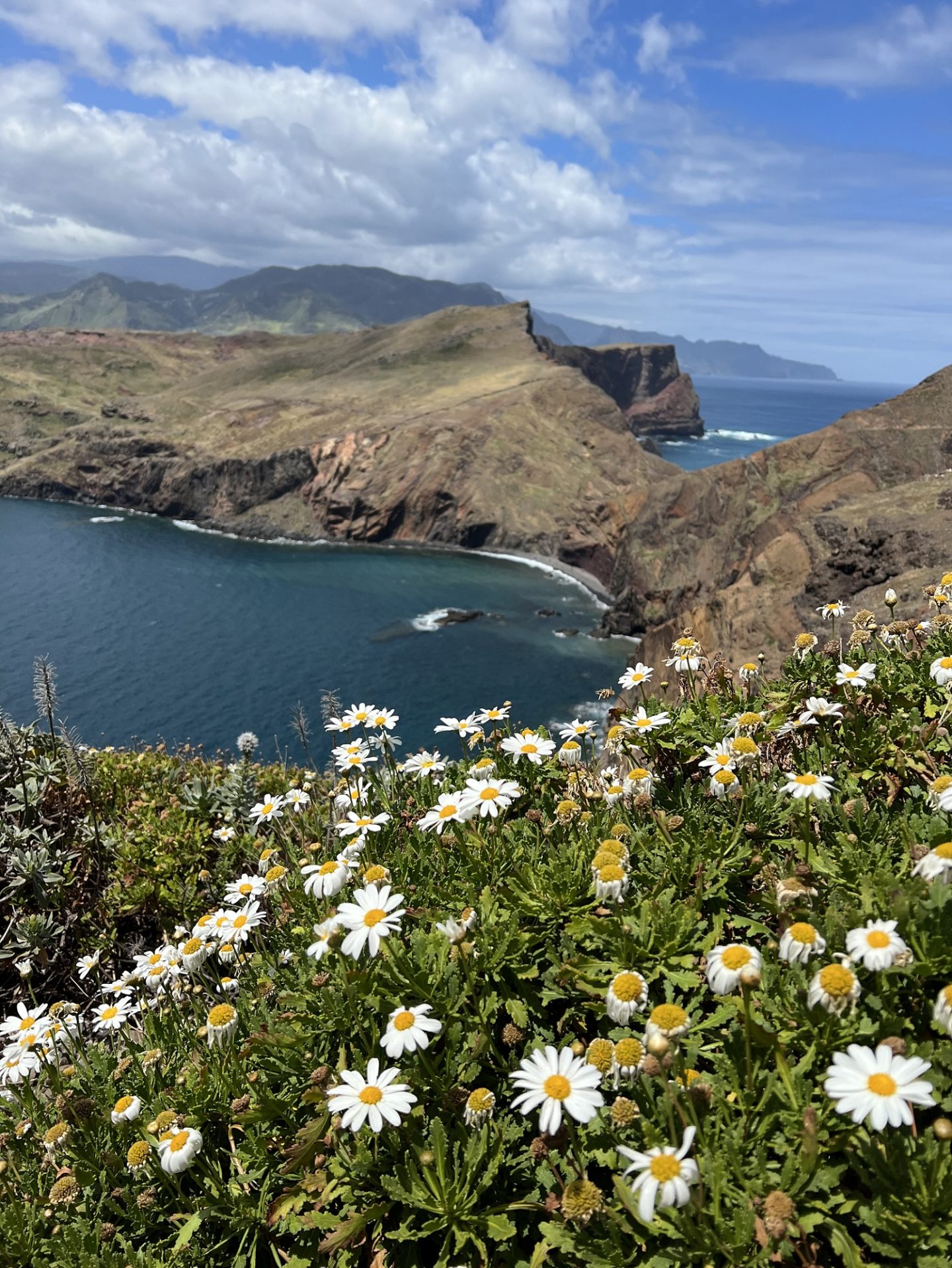 Madeira Travel Guide: The Best Hikes & Things To Do In Madeira